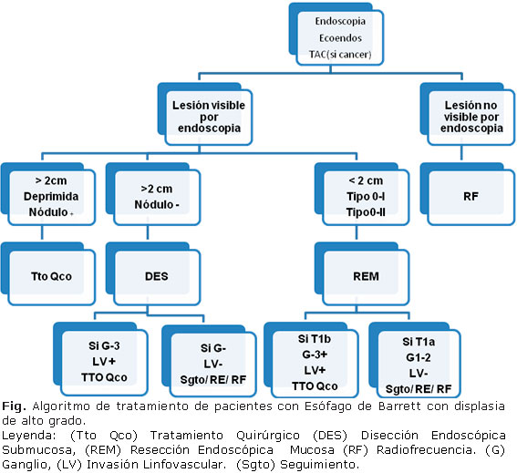 Tratamiento Endoscópico del Esófago de Barrett | Seijas Cabrera ...